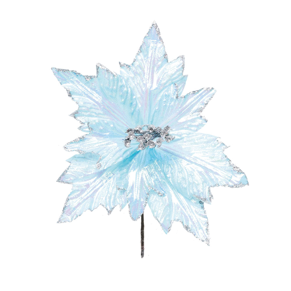 Poinsetia azul tiffany - Cromus: 1920231 - Mundo 25